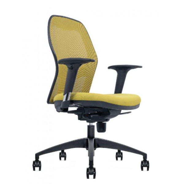 ENTIRE SERIES MESH LOW BACK CHAIR (NR002-LB)