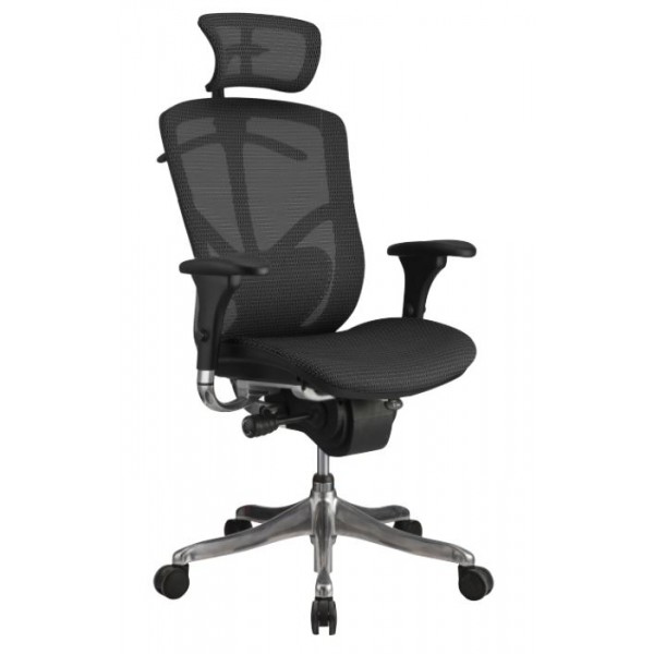 POSH MESH SERIES HIGH BACK CHAIR (POSH)