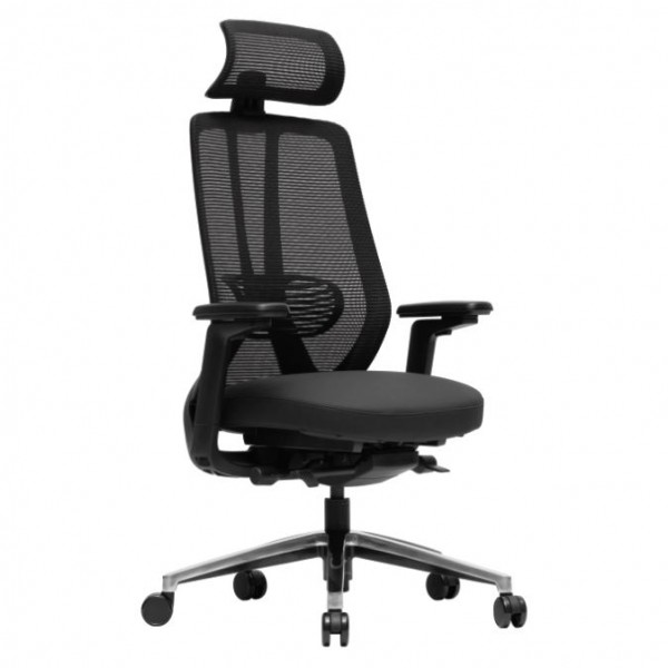 DUORA MESH SERIES HIGHBACK CHAIR (DUORA_HIGHBACK)